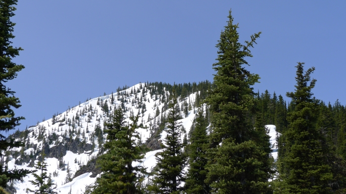 Website Design by Roger Gervin - Snowshoe to the summit of Arrowhead ...