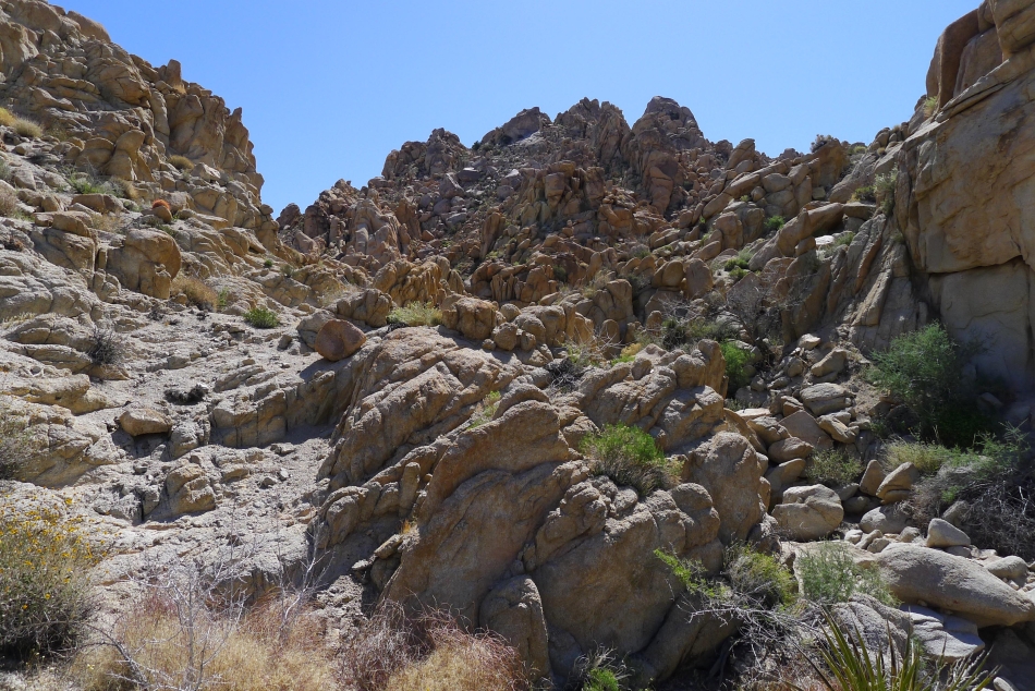 Website Design by Roger Gervin - Hike the Maze Loop Trail in Joshua ...