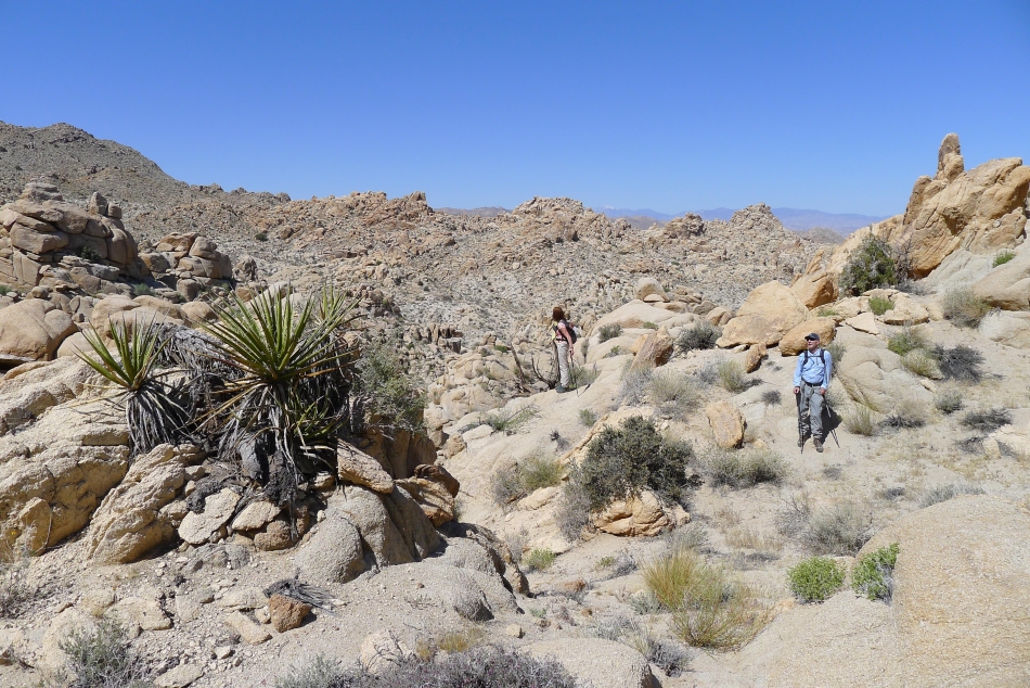 Website Design by Roger Gervin - Hike the Maze Loop Trail in Joshua ...