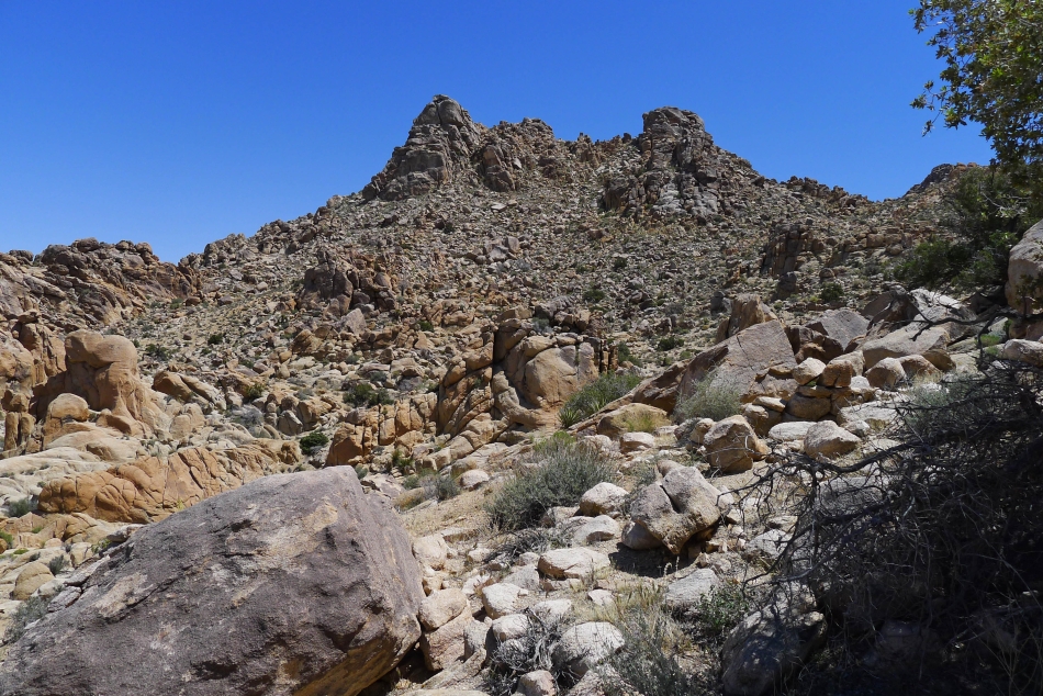 Website Design by Roger Gervin - Hike the Maze Loop Trail in Joshua ...