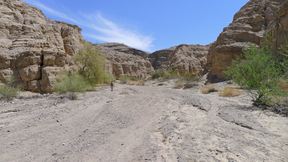 Website Design by Roger Gervin - Hike in Hidden Spring Canyon looking ...