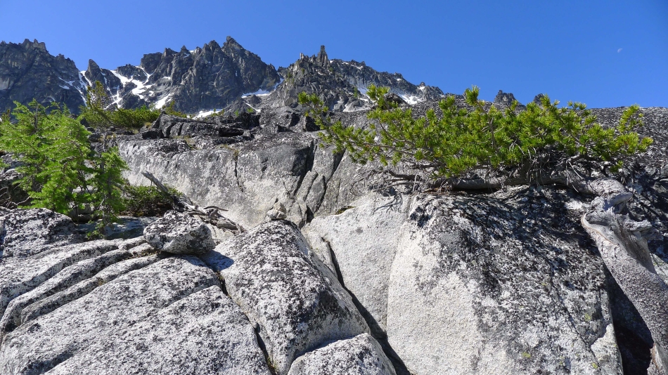 Website Design by Roger Gervin - Climb McClellan Peak in the Alpine ...