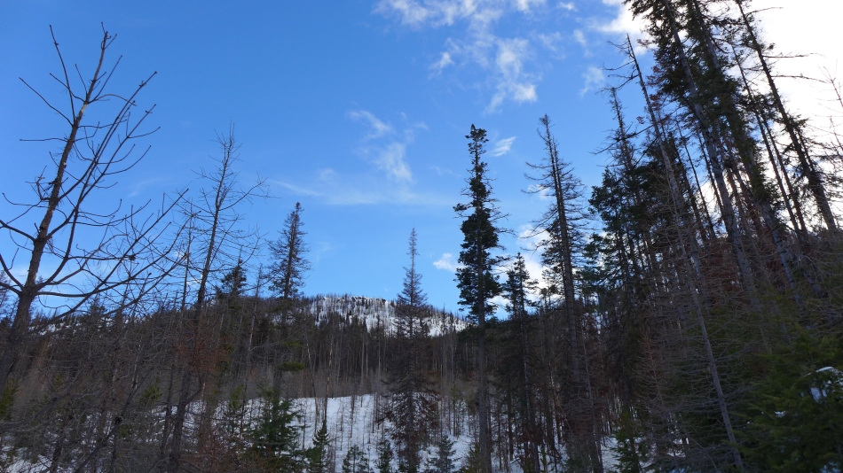 Website Design by Roger Gervin - Snowshoe to Windy Knob and Tronsen ...