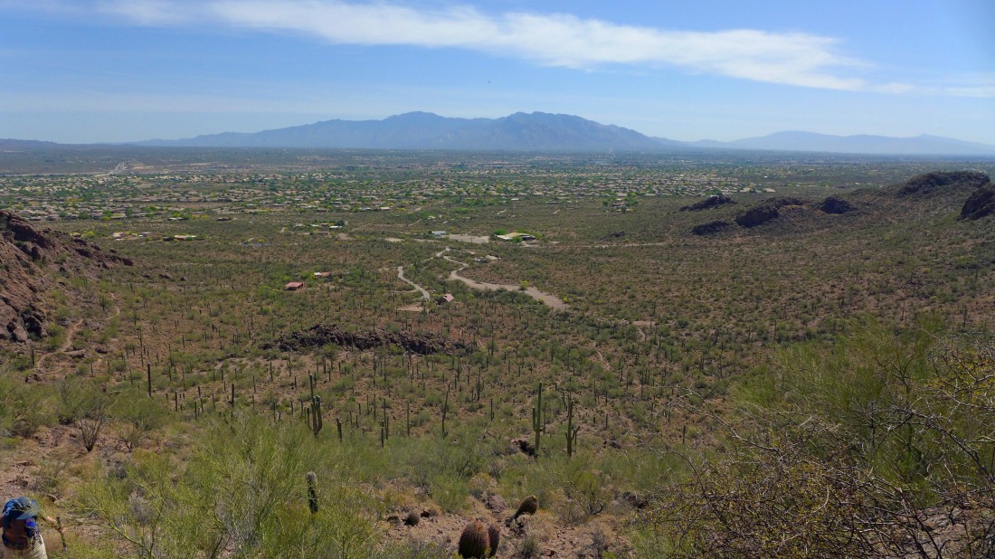 Website Design by Roger Gervin - Scramble to the summit of Safford Peak ...
