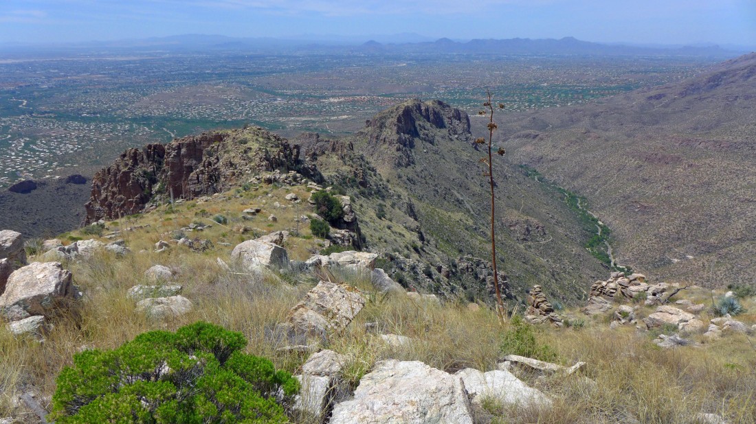 Website Design by Roger Gervin - Scramble to Point 5001 on Saddleback ...