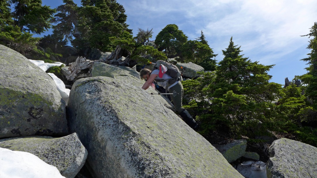 Website Design by Roger Gervin - Scramble to the summits of Mount ...